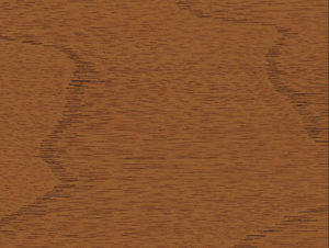 Grain vs Stain – Reeb Learning Center