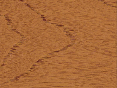 Grain vs Stain – Reeb Learning Center