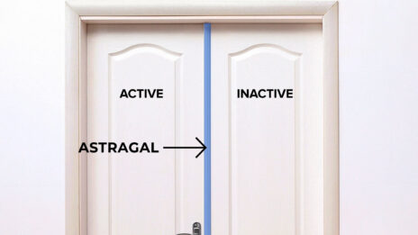 Securing a Double Interior Door – Reeb Learning Center